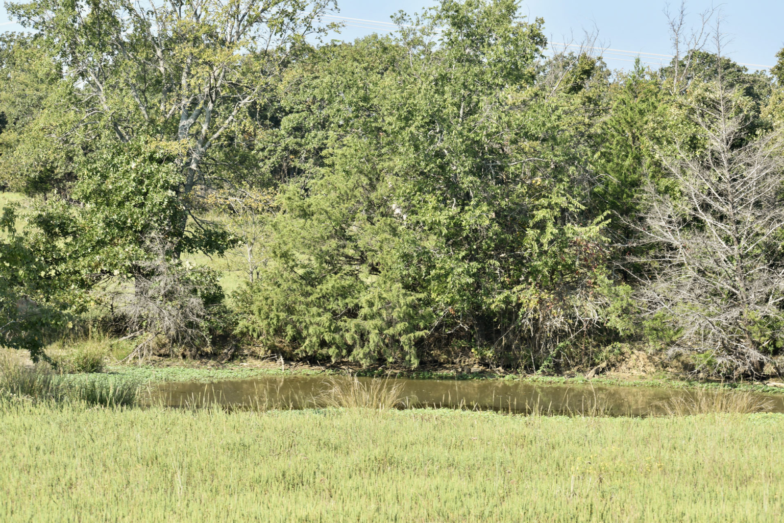800-Acres-for-sale-Pittsburg-County-ok-62 | Cross Timbers Land